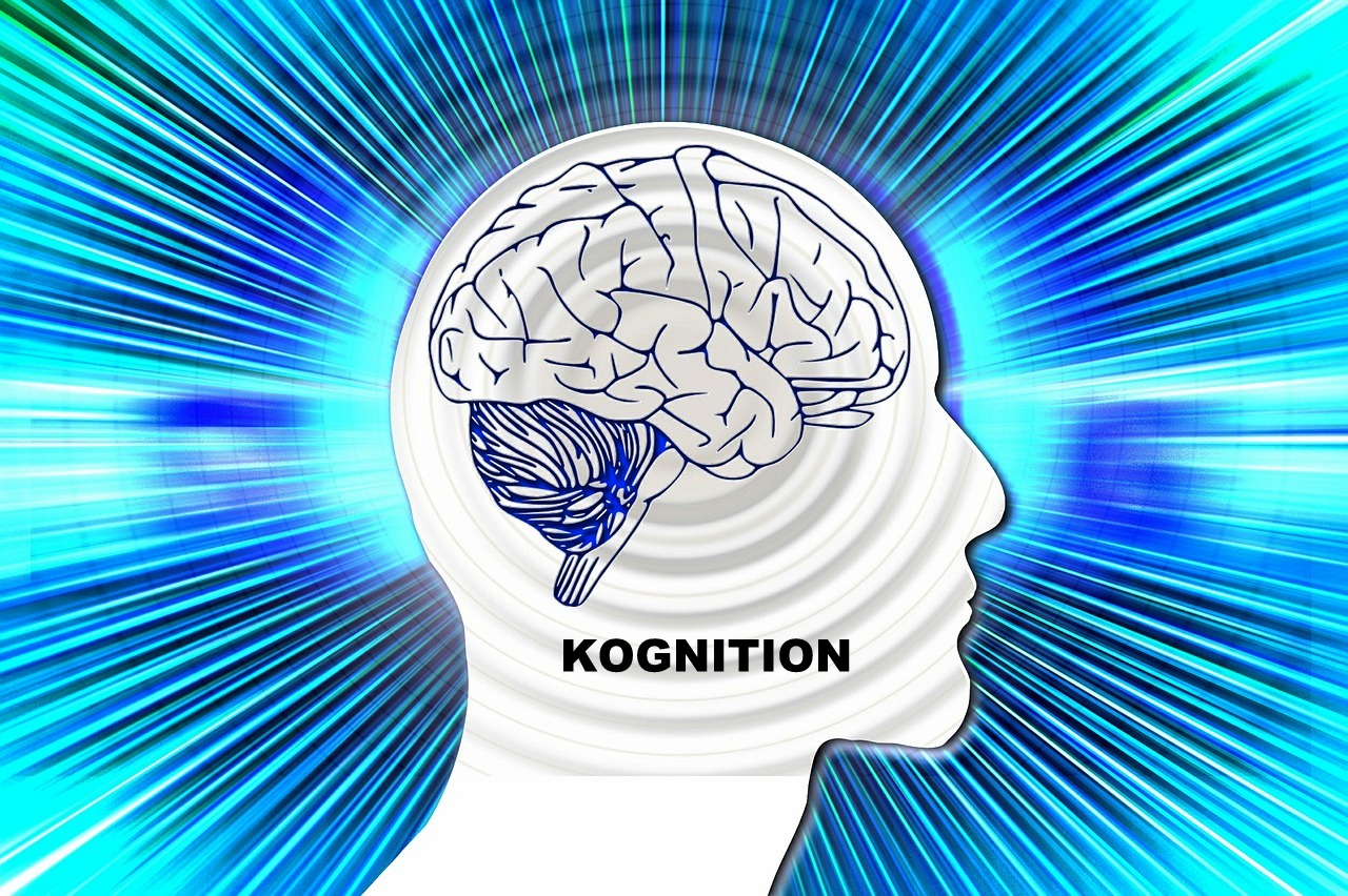 Kognition und MS - Deine Christine!